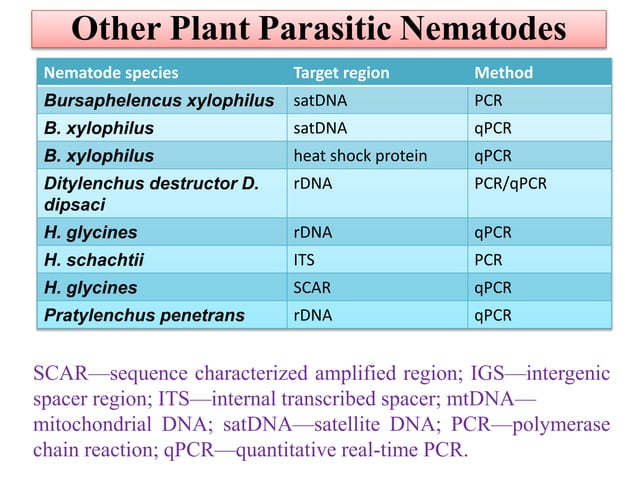 Nematode identification techniques.pptx