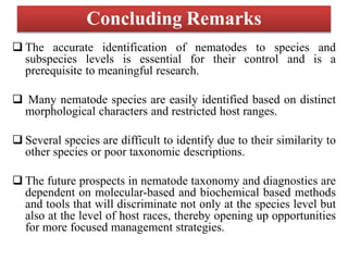 Nematode identification techniques.pptx