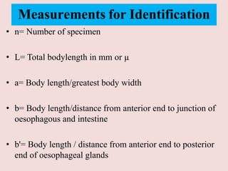 Nematode identification techniques.pptx