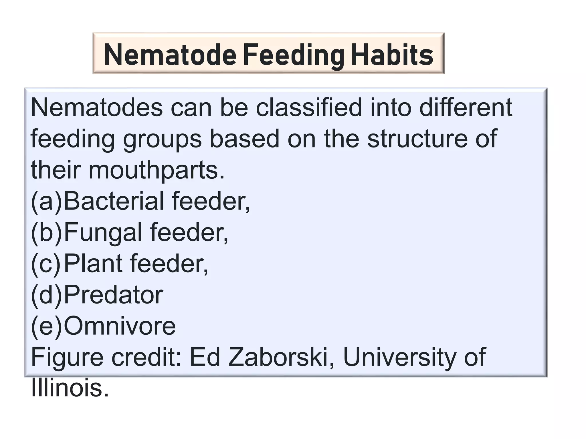 nematode management in organic agriculture.pptx