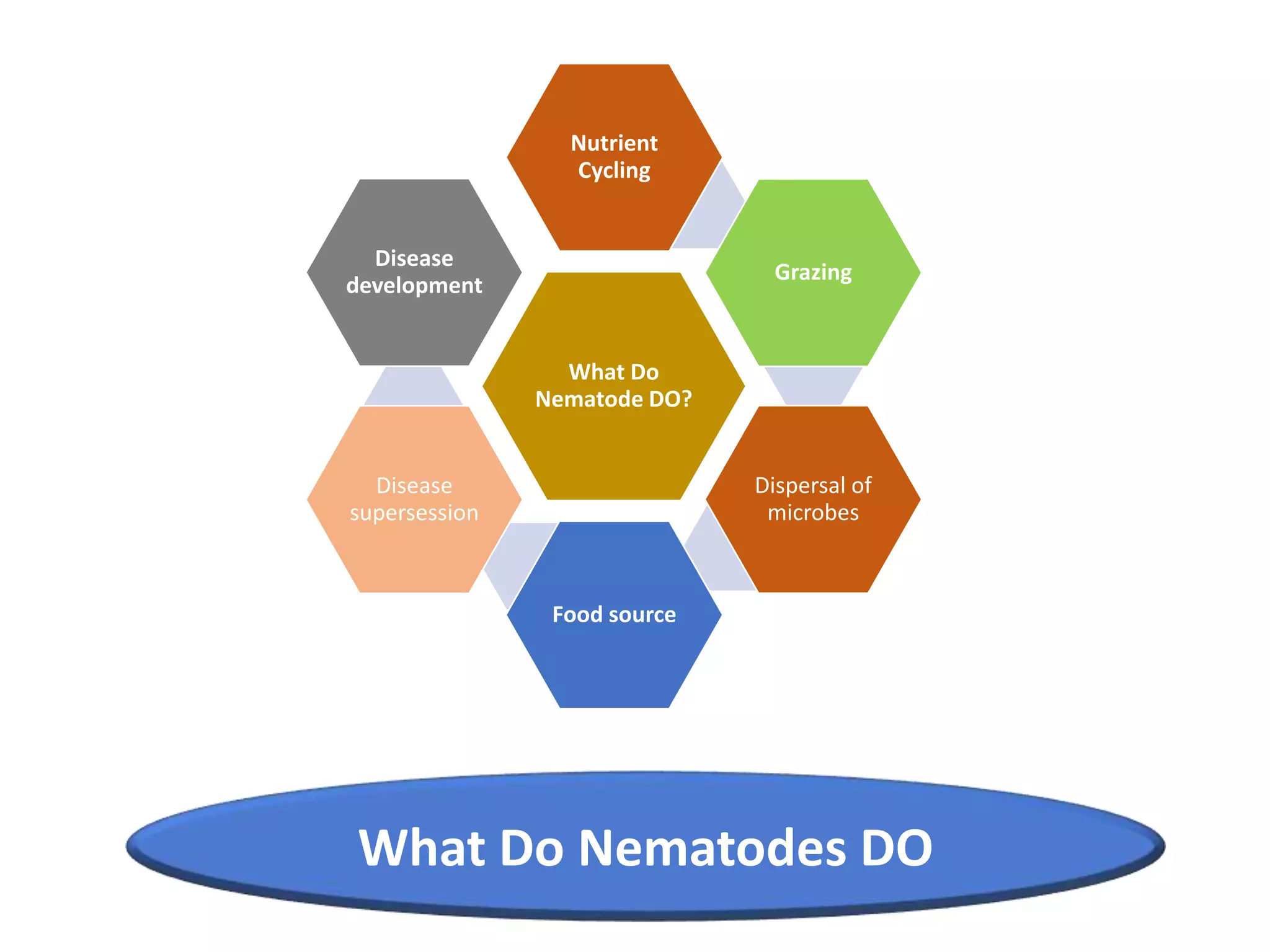 nematode management in organic agriculture.pptx