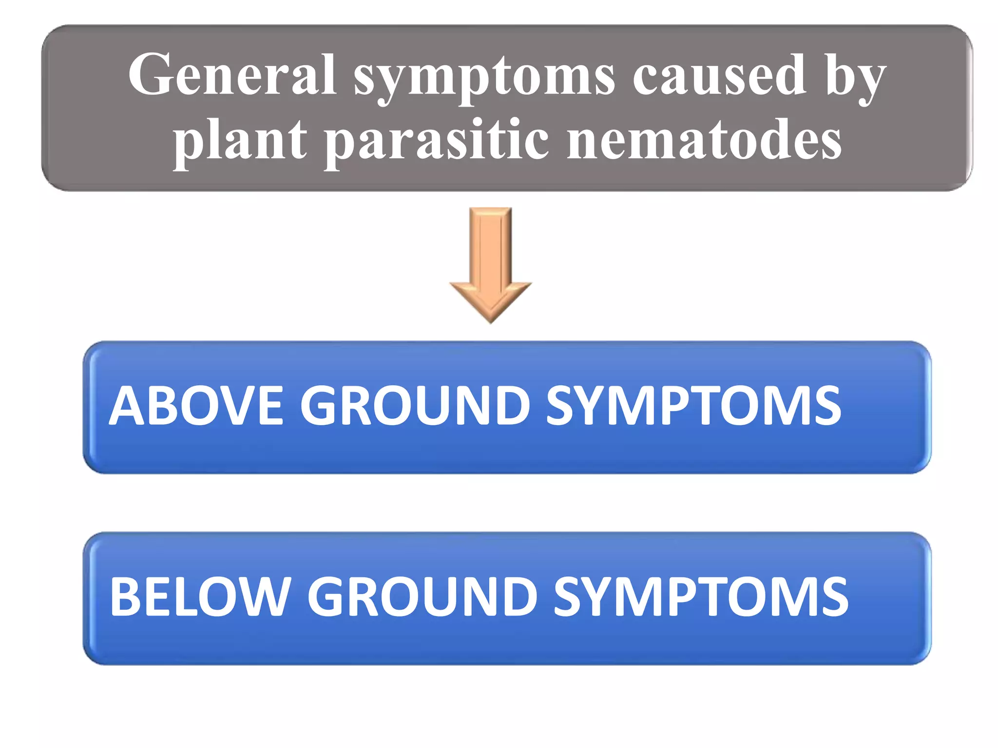 nematode management in organic agriculture.pptx