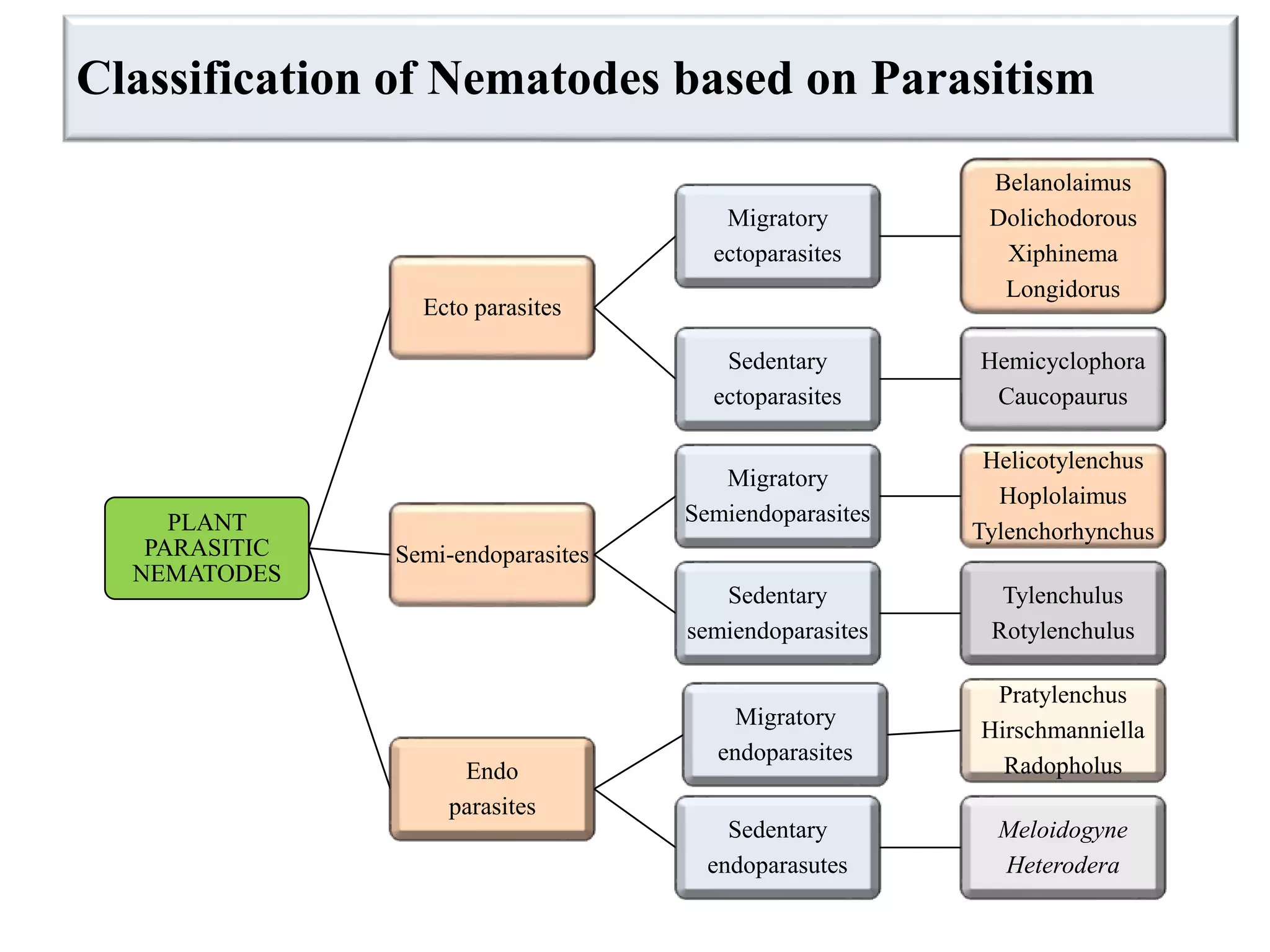 nematode management in organic agriculture.pptx | Agriculture | Industries