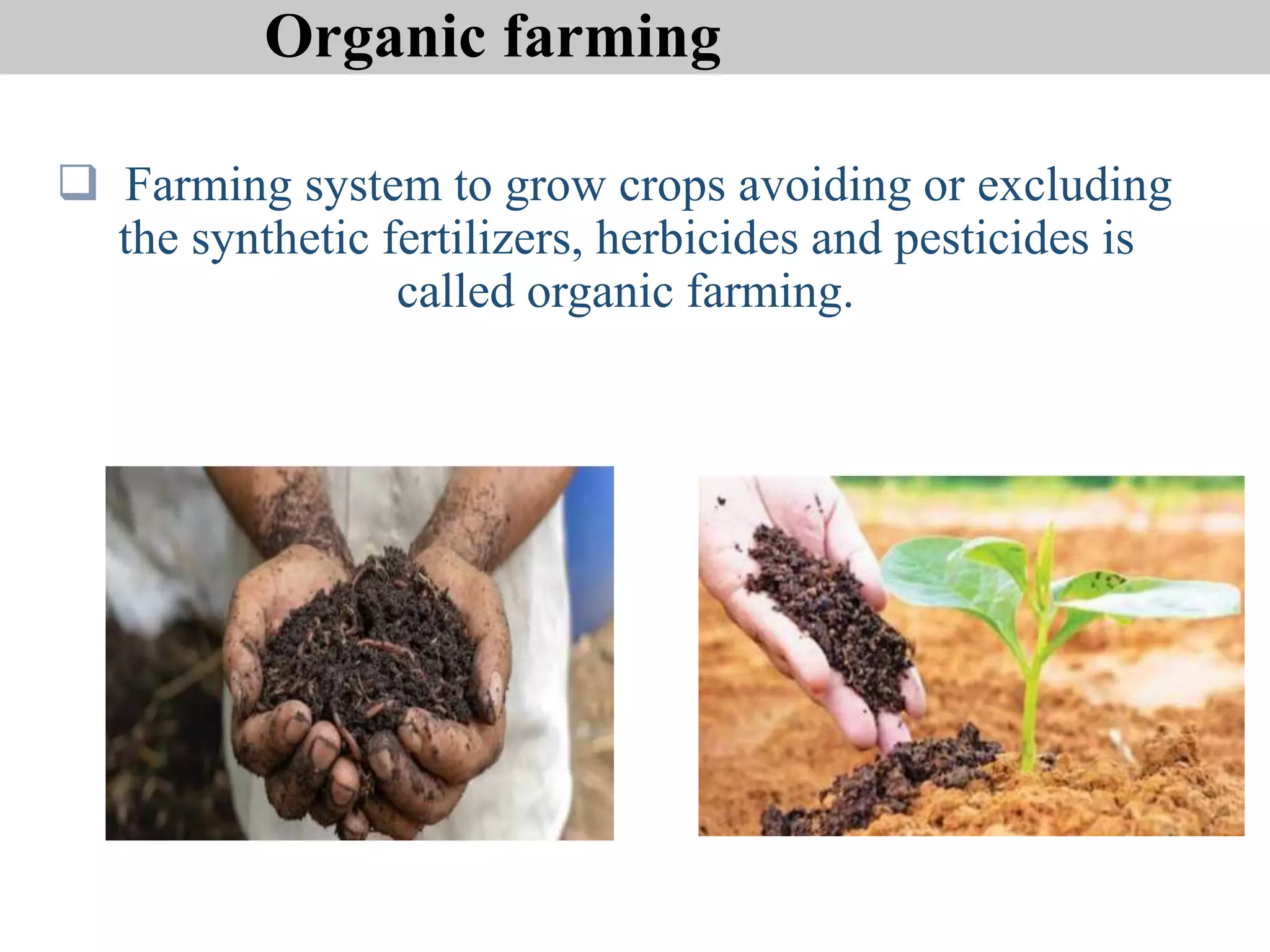 nematode management in organic agriculture.pptx