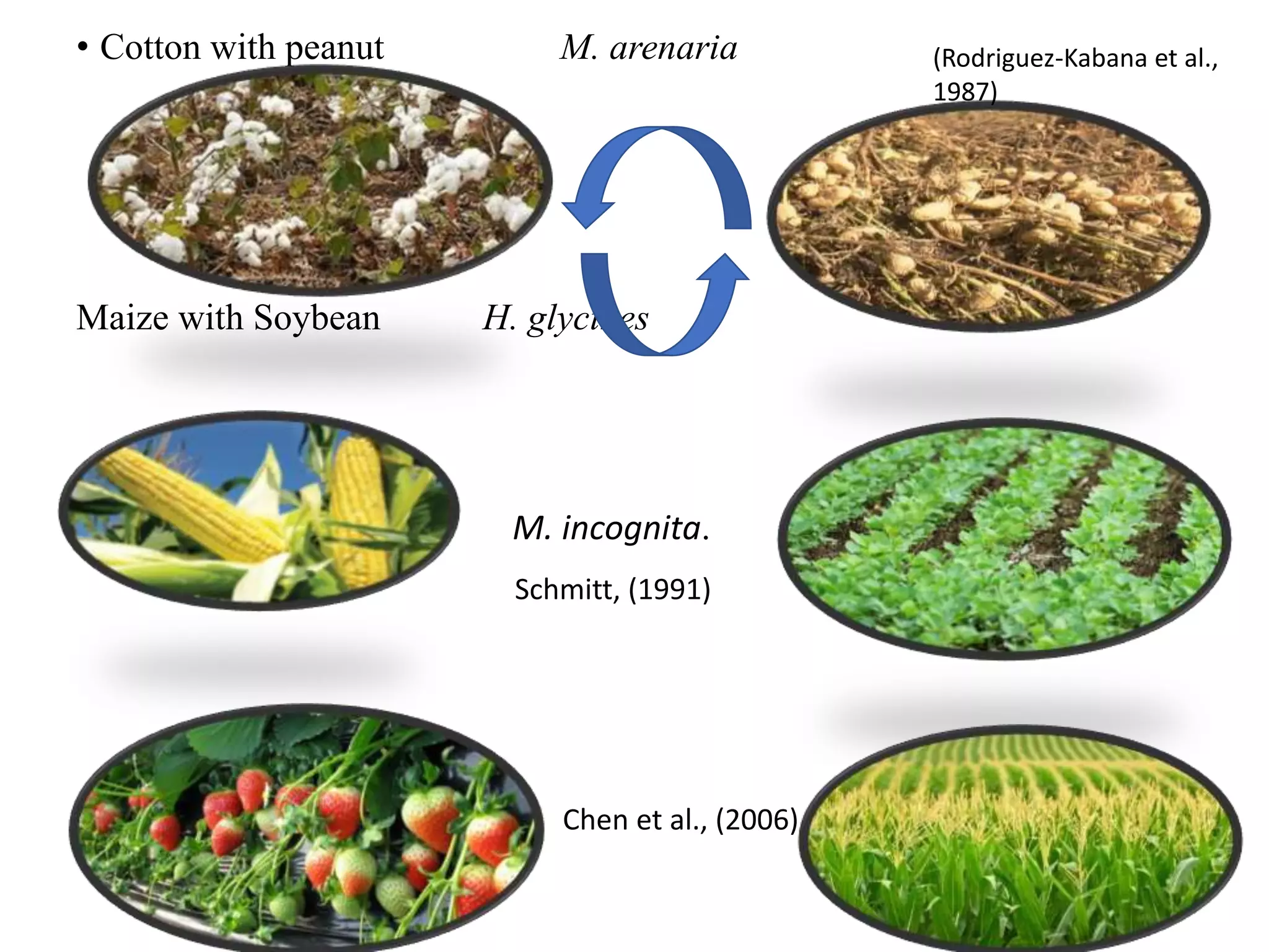 nematode management in organic agriculture.pptx