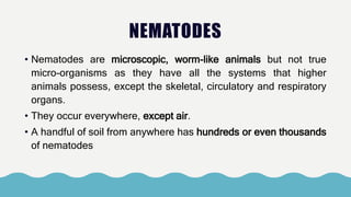 Nematode management in protected cultivation | PPTX