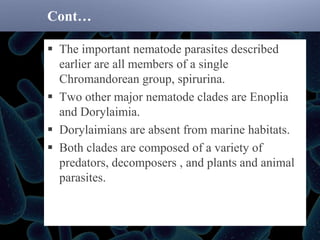 Nematode .......parasites of human and further phylogenetic ...