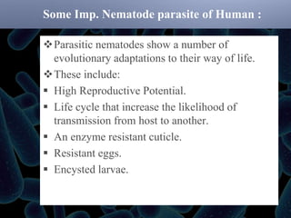 Nematode .......parasites of human and further phylogenetic ...