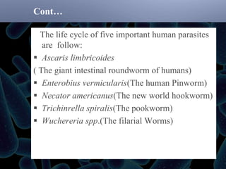 Nematode .......parasites of human and further phylogenetic ...