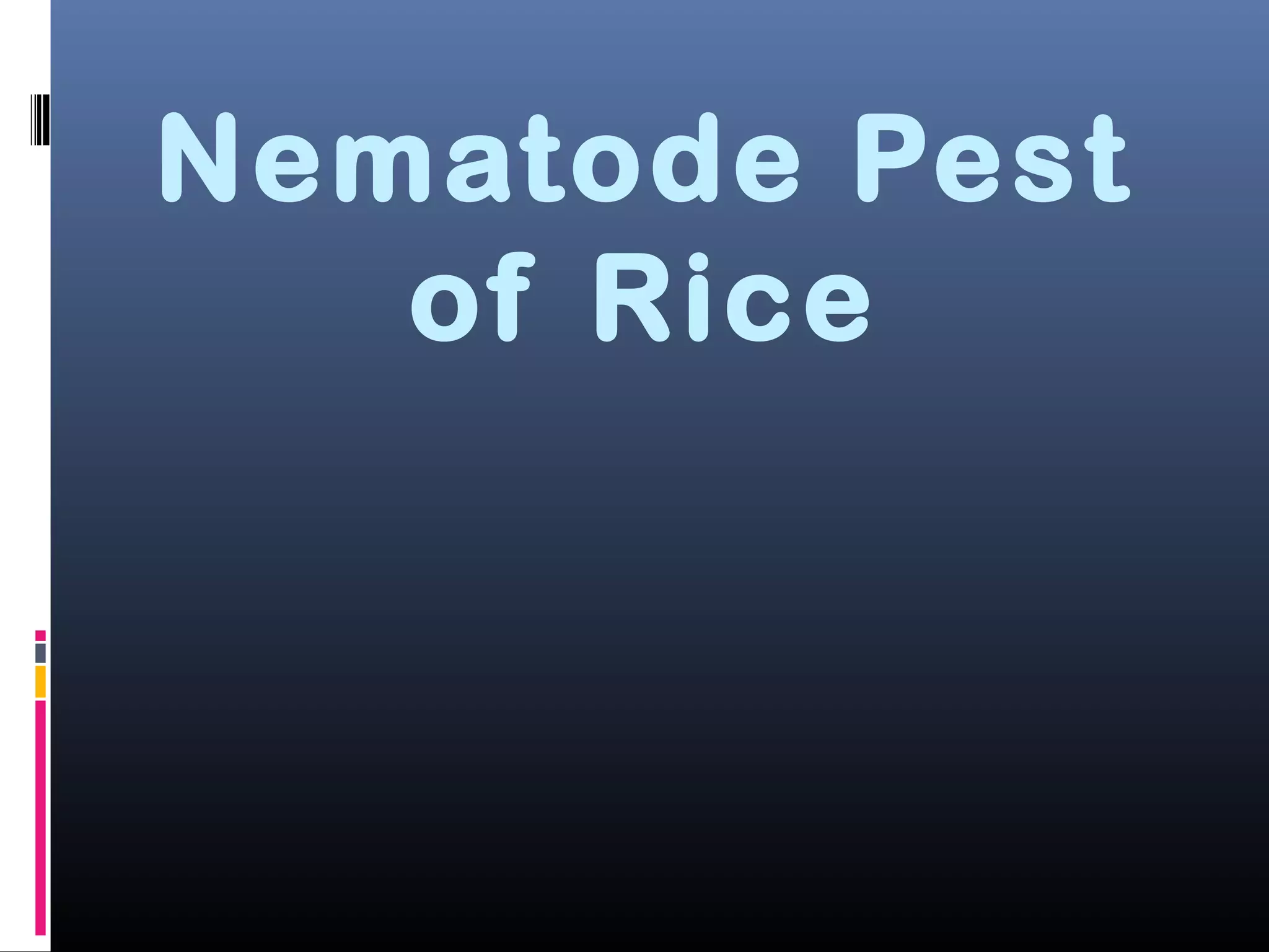 Nematode pest of rice | PPT