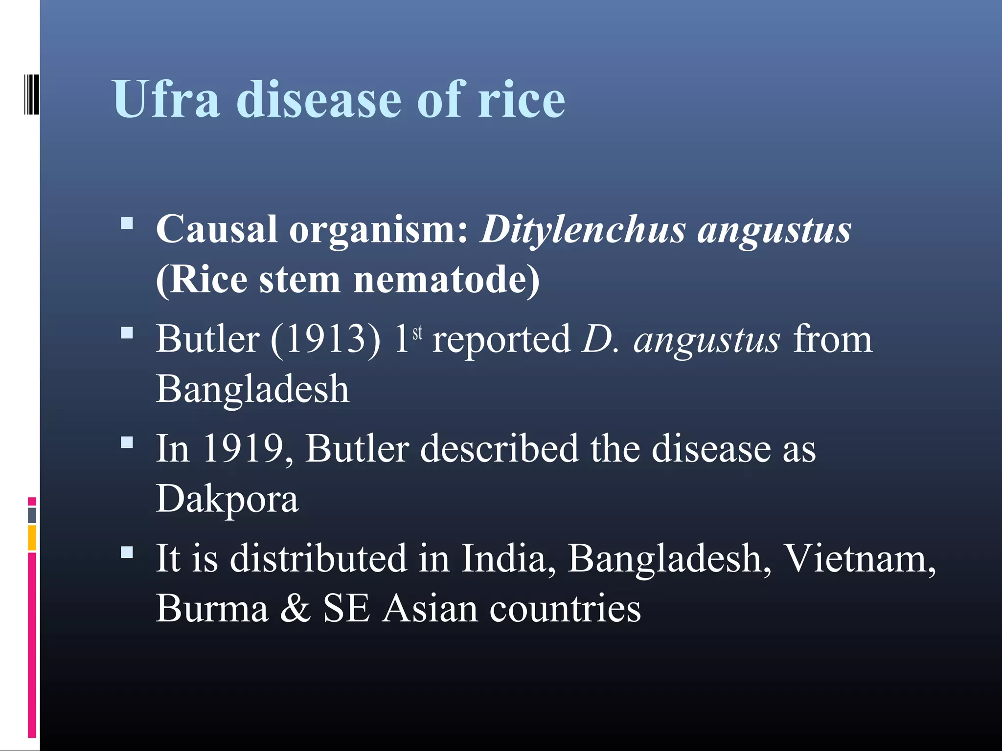 Nematode pest of rice | PPT