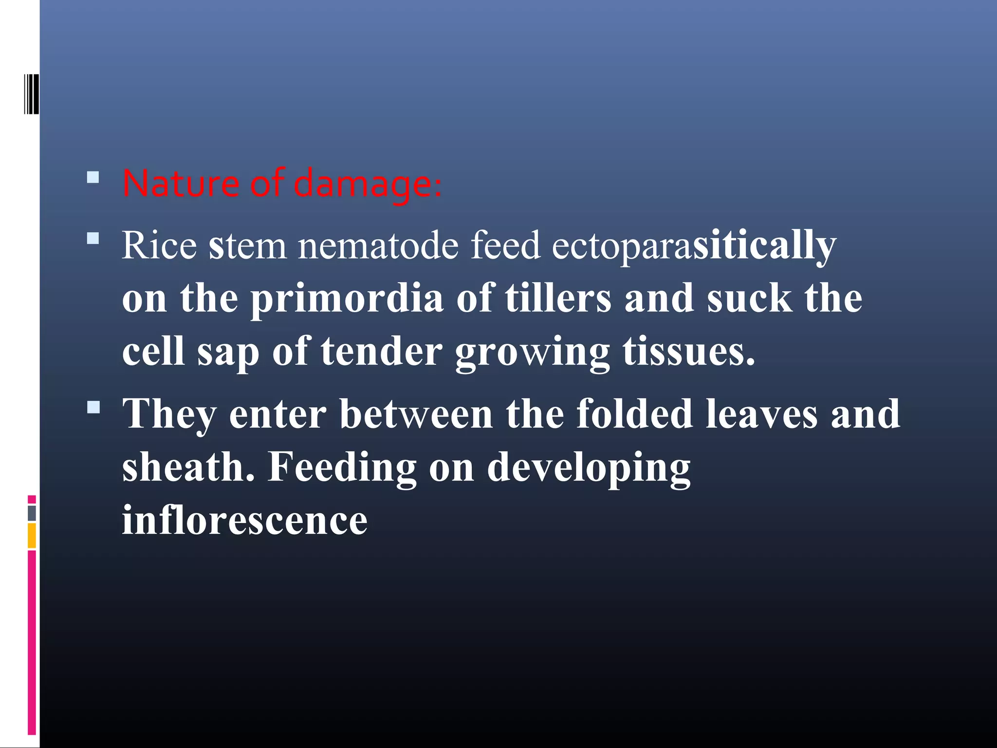 Nematode pest of rice | PPT
