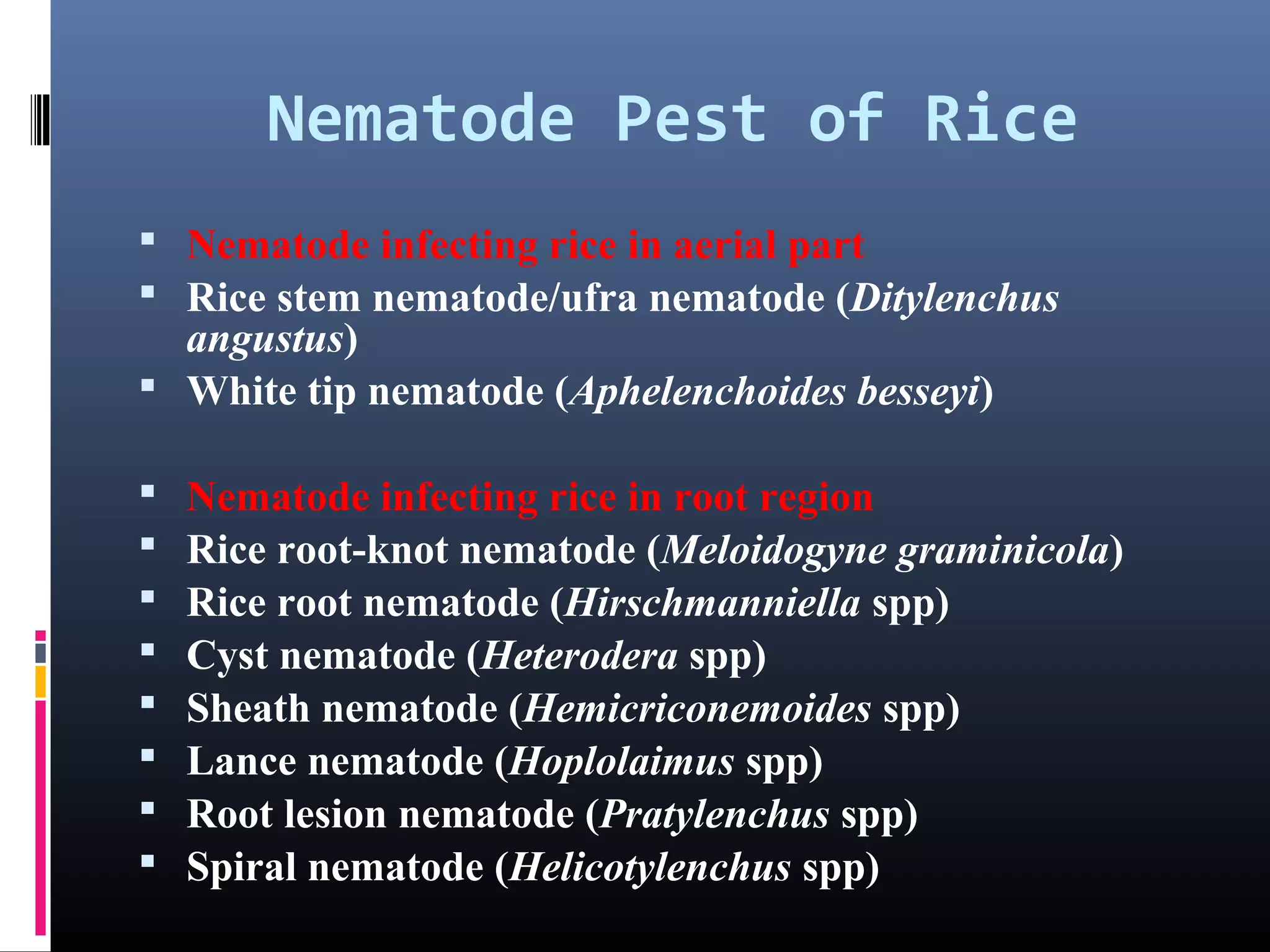 Nematode pest of rice | PPT