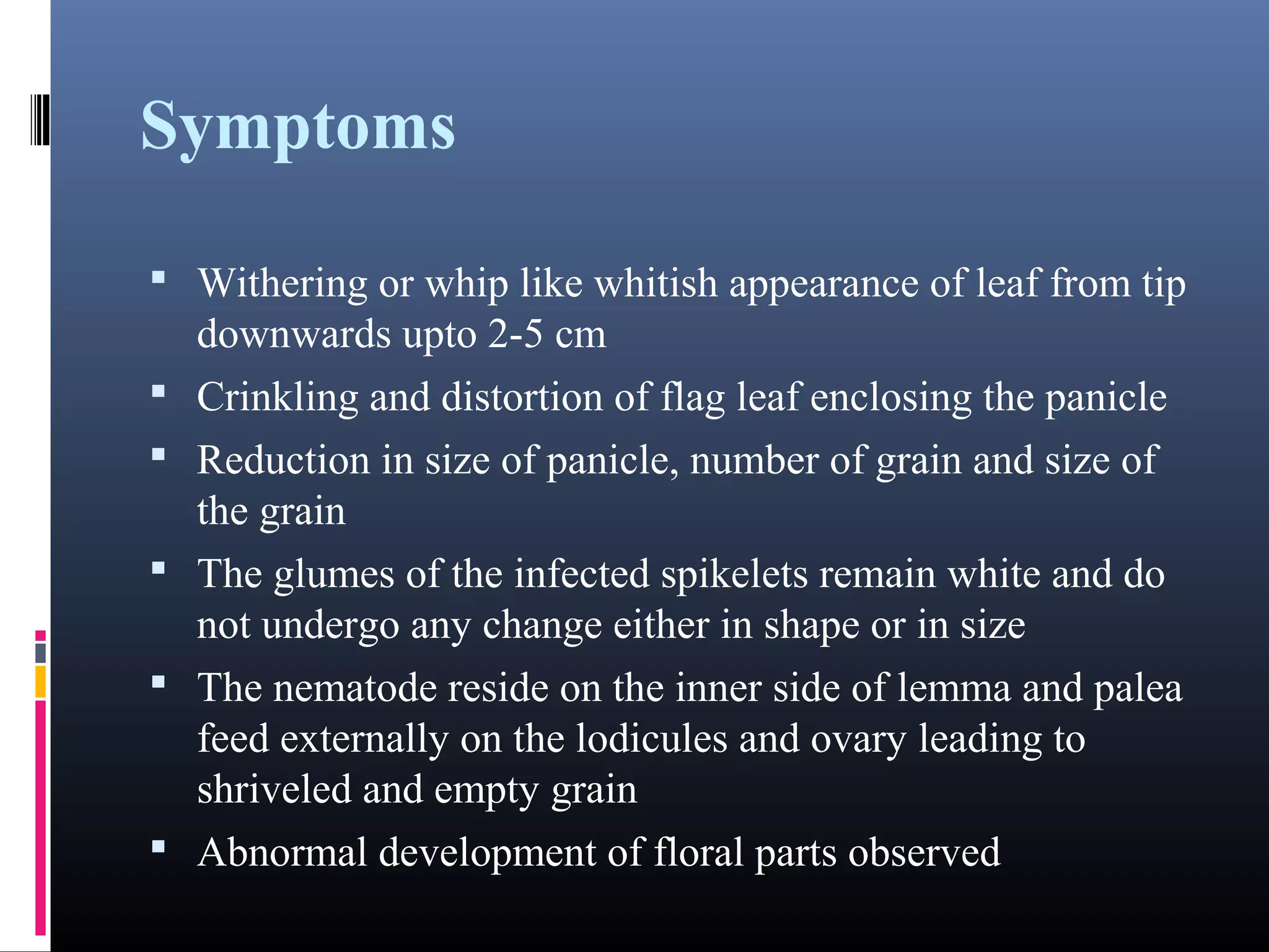Nematode pest of rice | PPT