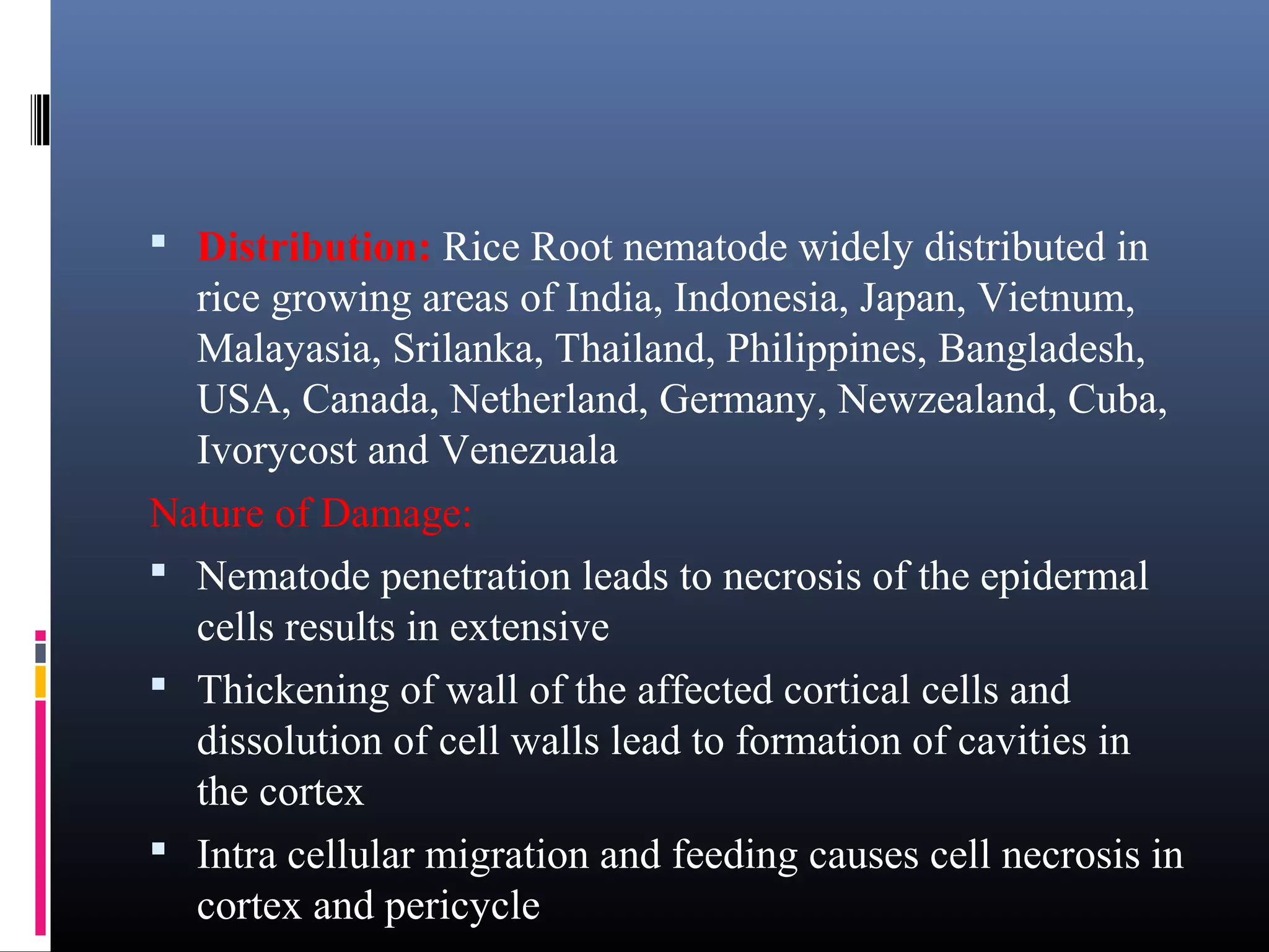 Nematode pest of rice | PPT