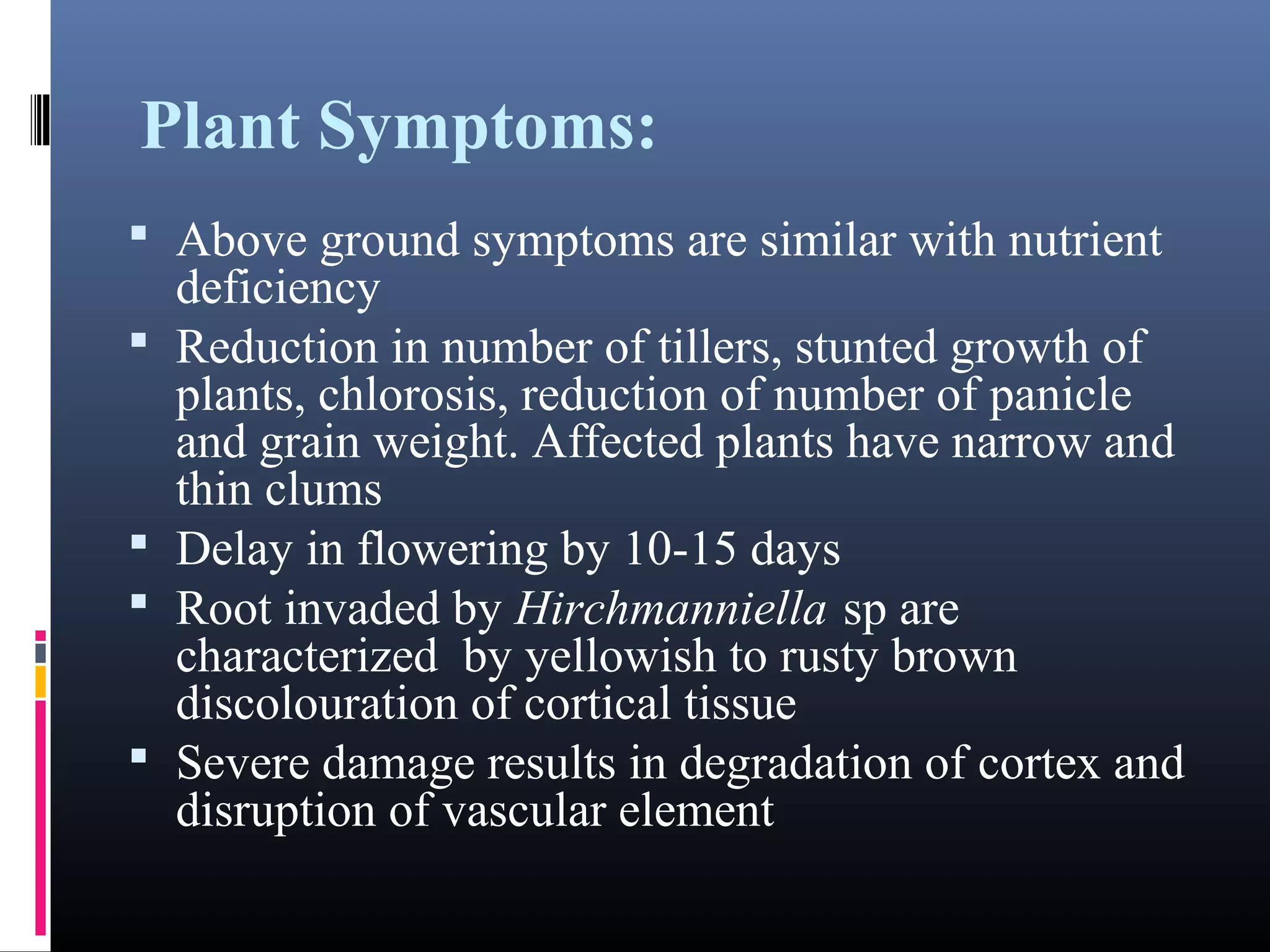 Nematode pest of rice | PPT