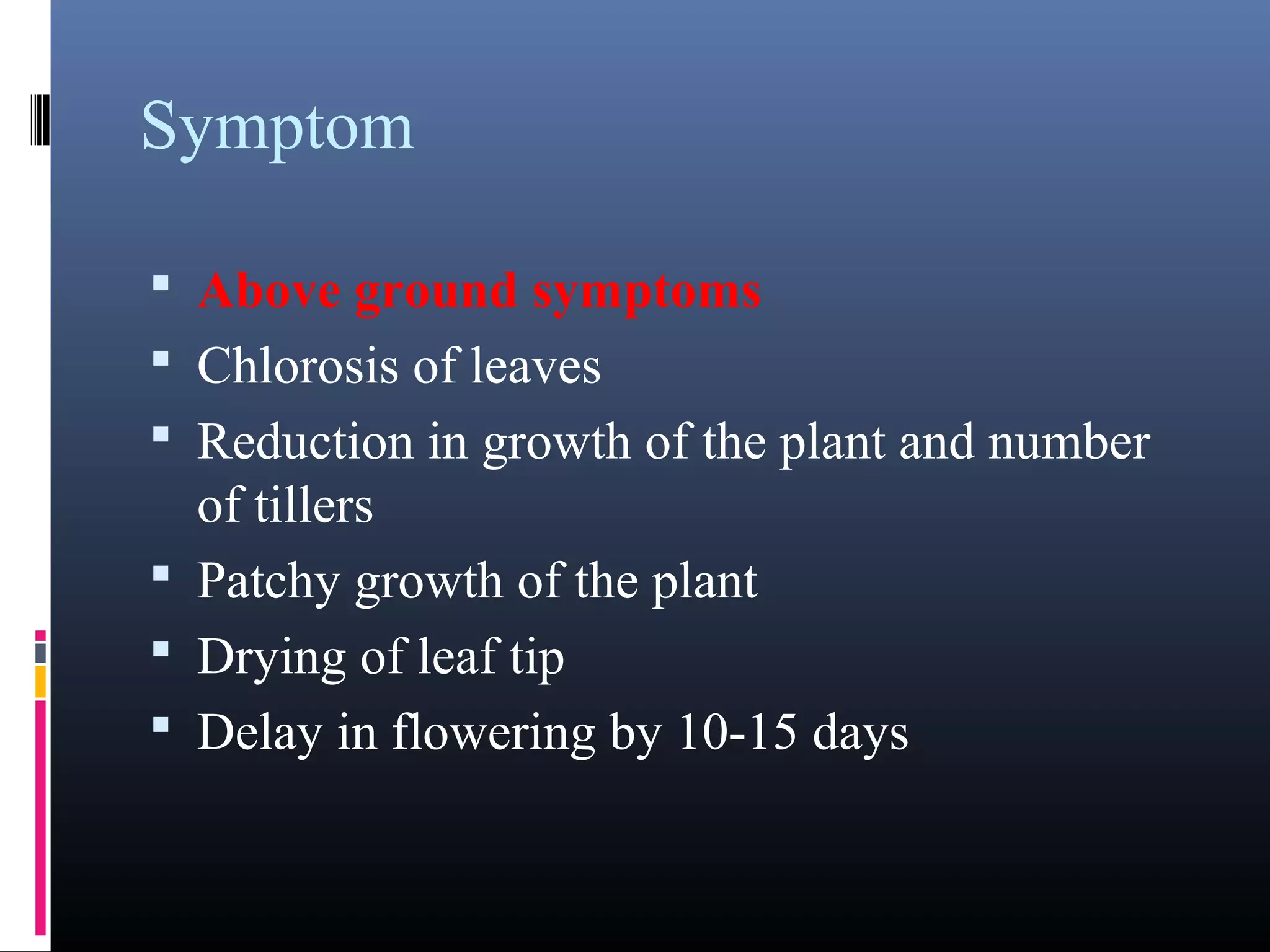 Nematode pest of rice | PPT