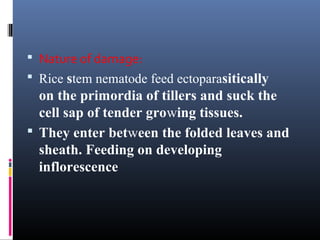 Nematode pest of rice | PPT