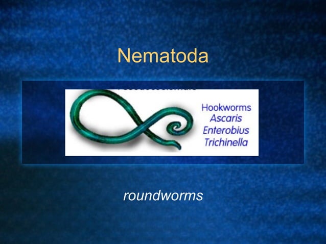 Nematode Notes | PPT | Pets