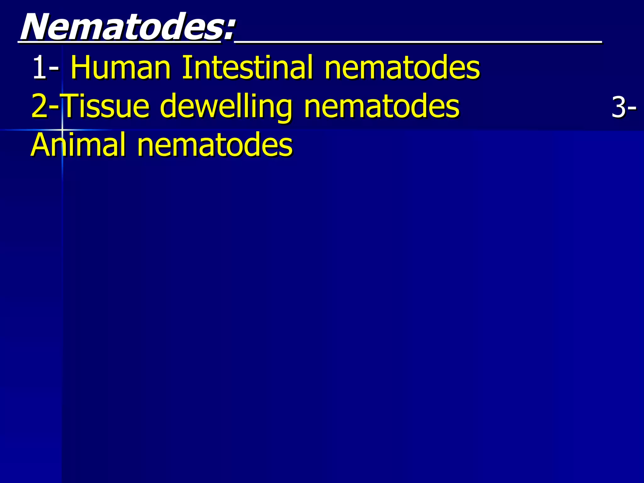 Nematodes | PPT