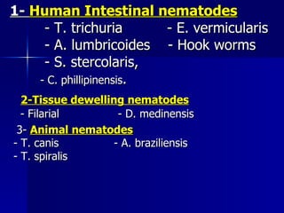 Nematodes | PPT