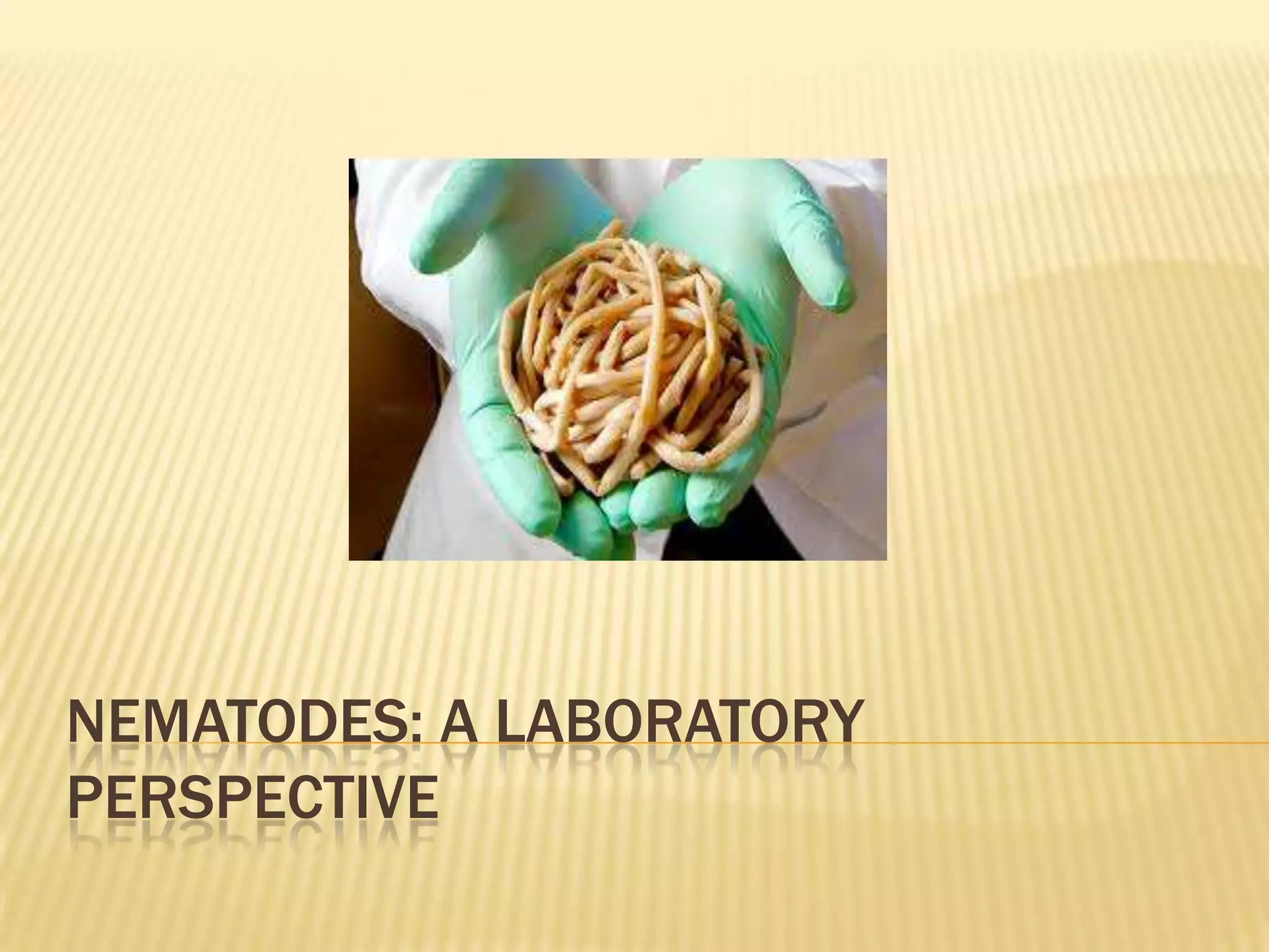 Nematodes | PPTX