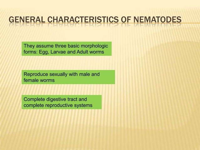 Nematodes | PPTX | Pets