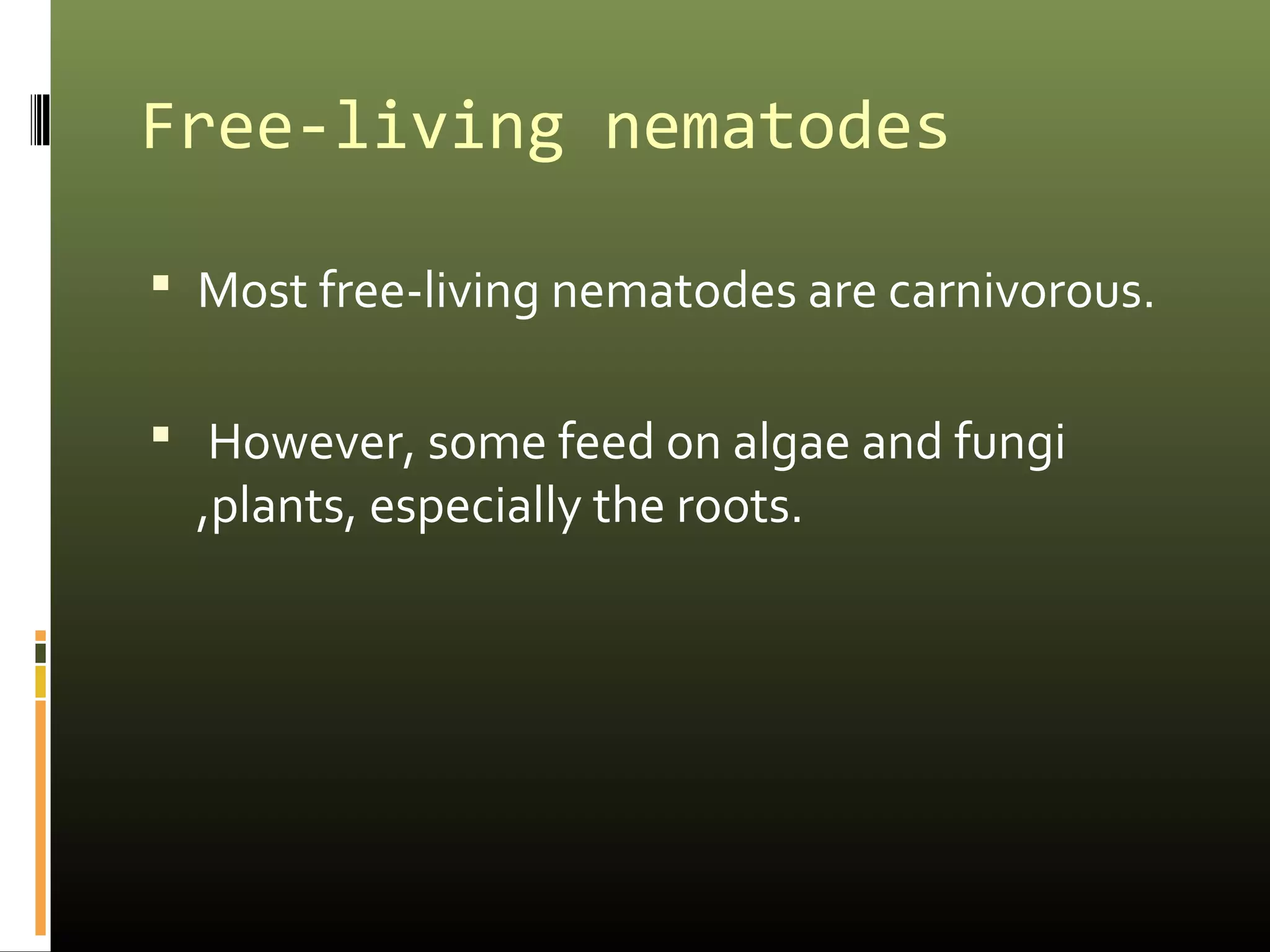Nematodes | PPT