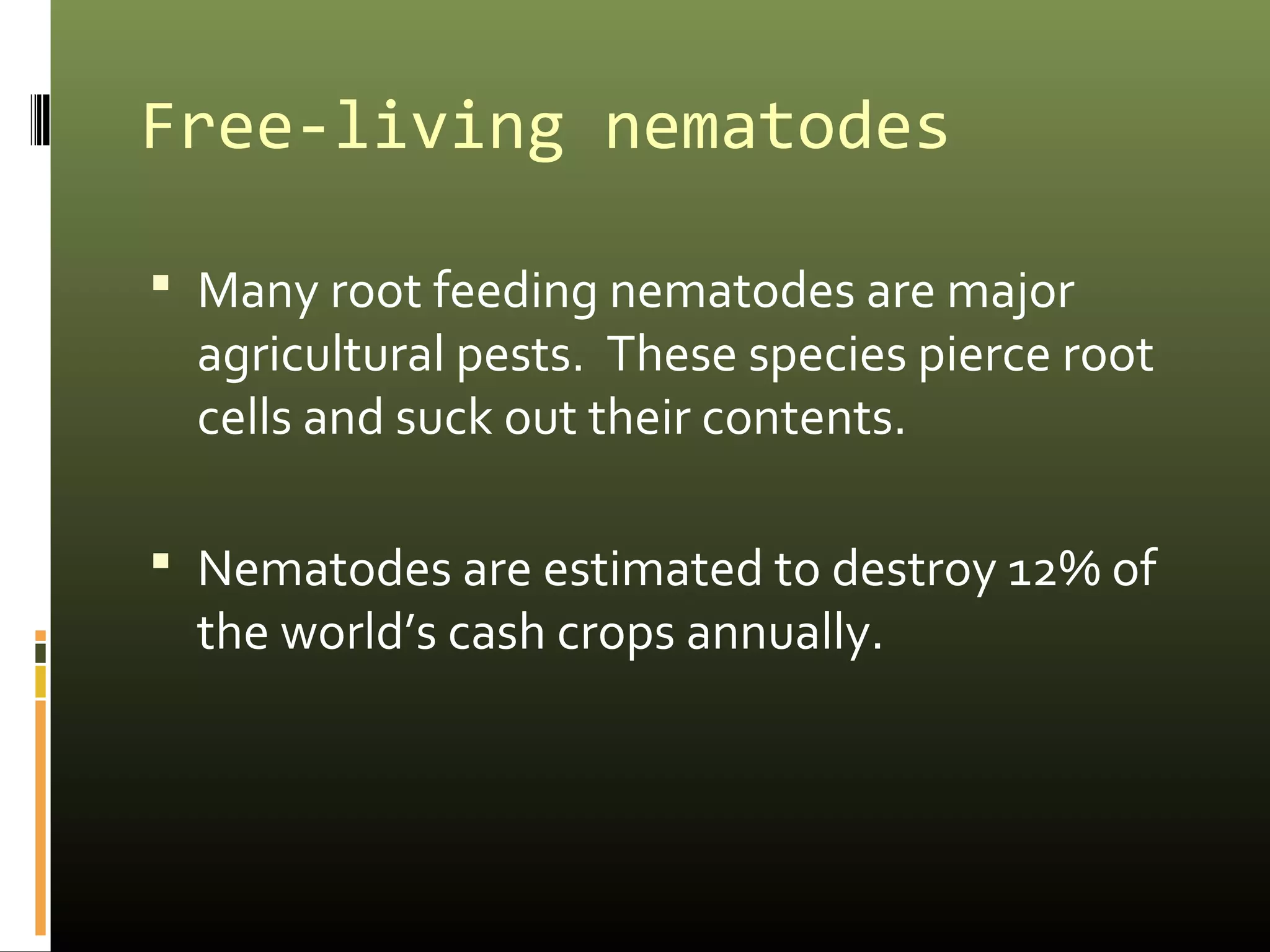 Nematodes | PPT