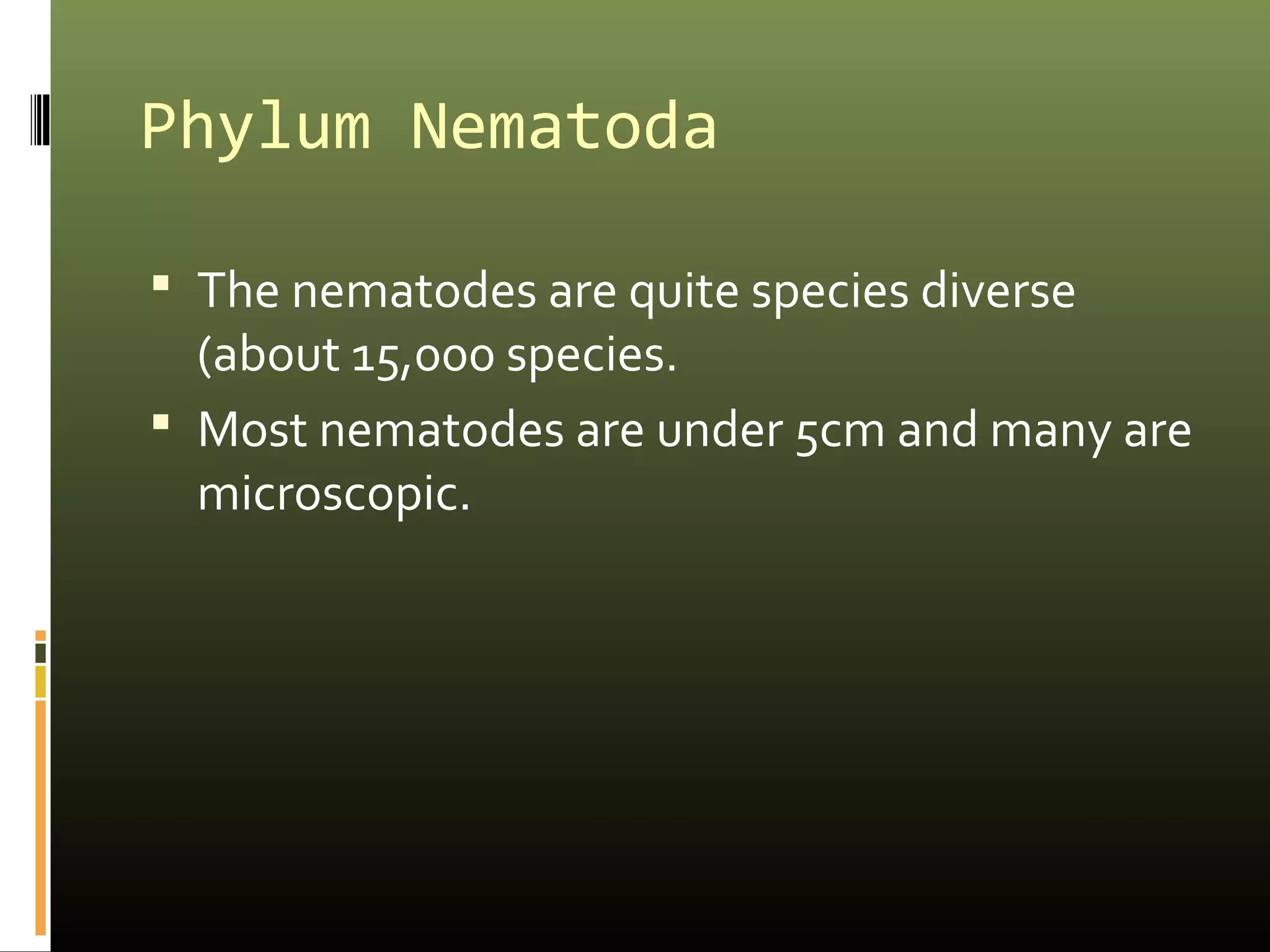 Nematodes | PPT