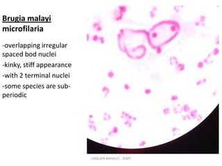 Identifying Different Nematodes and their Diagnostic forms | PPT