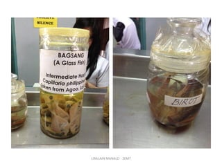 Identifying Different Nematodes and their Diagnostic forms | PPT