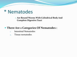 Nematodes | PPTX