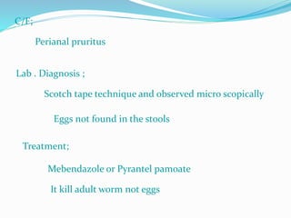 Nematodes | PPTX