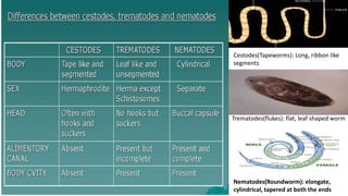 NEMATODES and Strogyloides.pptx