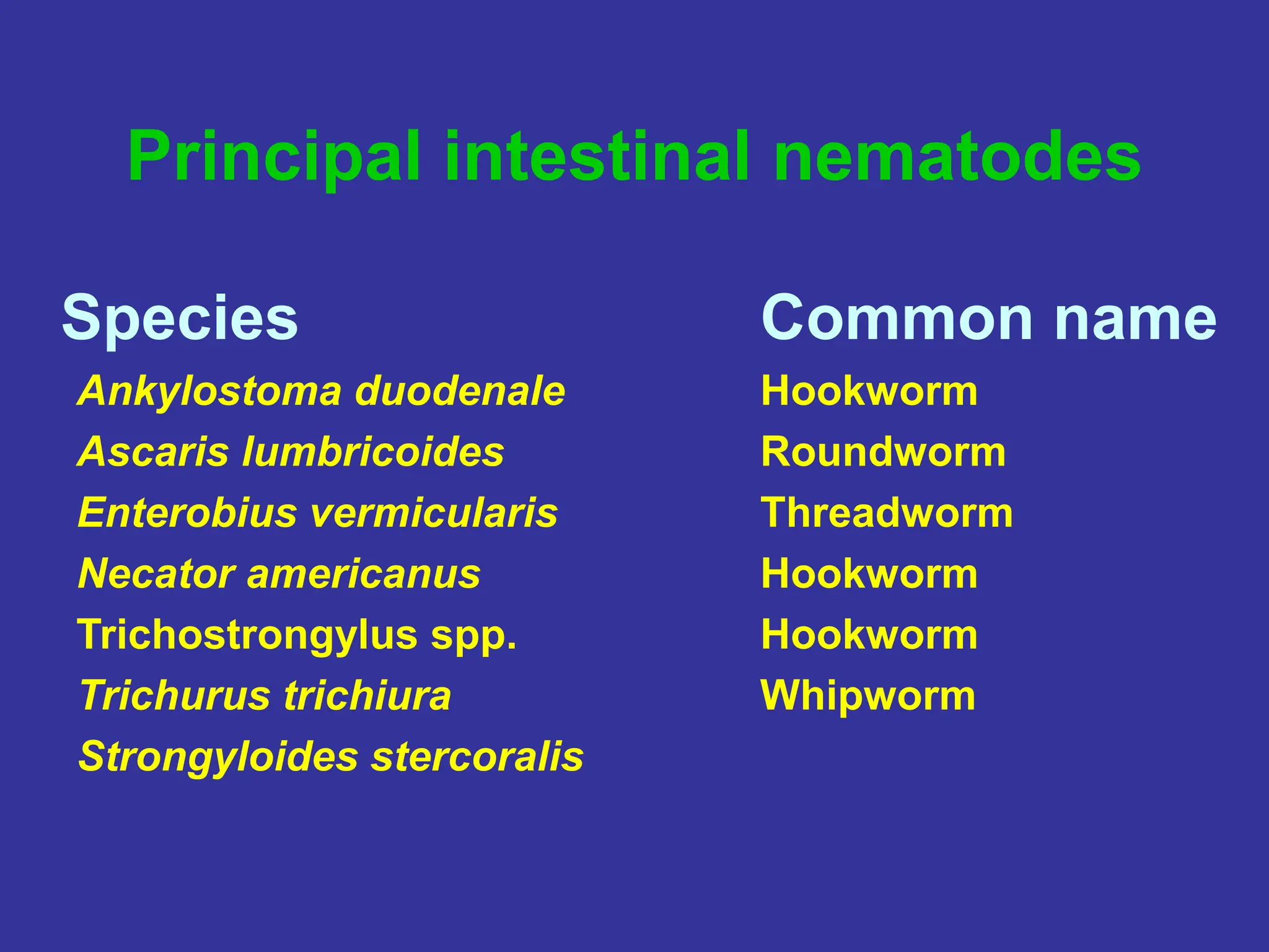 Anti Nematode drugs 3rd year Pharmacology.ppt