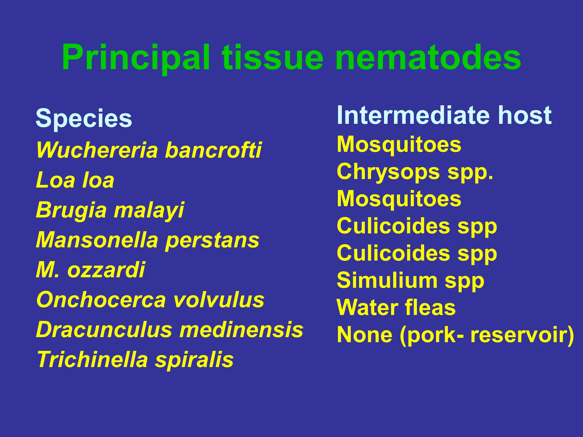 Anti Nematode drugs 3rd year Pharmacology.ppt
