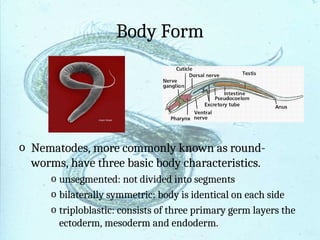 Introduction to Nematodes Presentation.. | PPT