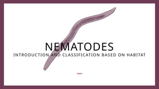 NEMATODES - Introduction and brief overview.pptx