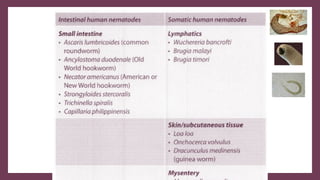 NEMATODES - Introduction and brief overview.pptx