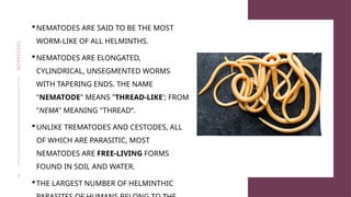 NEMATODES - Introduction and brief overview.pptx