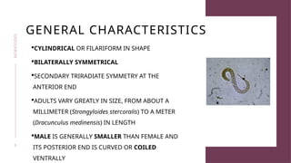 NEMATODES - Introduction and brief overview.pptx