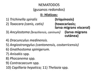 Nematodes 19 03 12 | PPTX