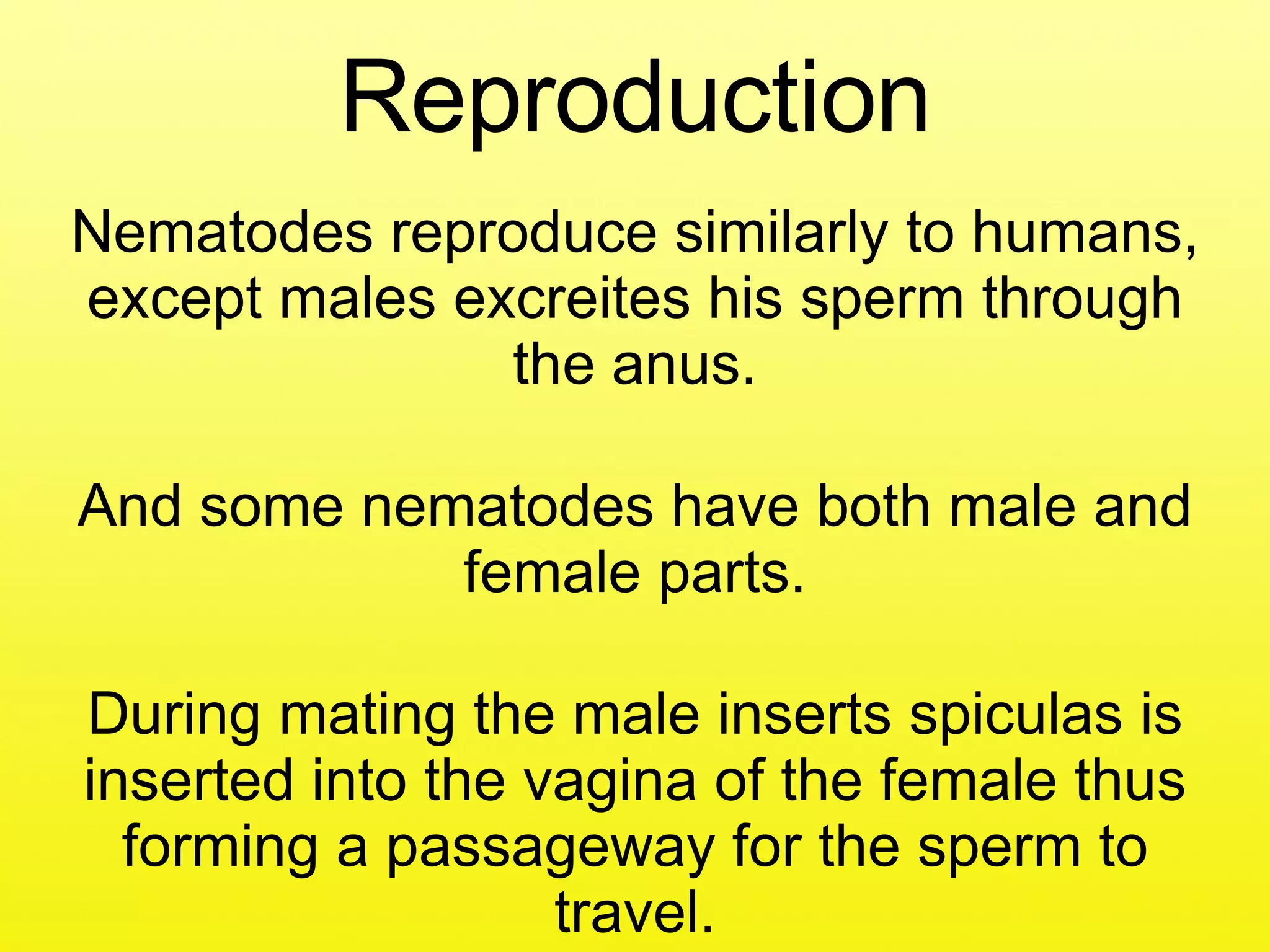 Nematodes | PPT