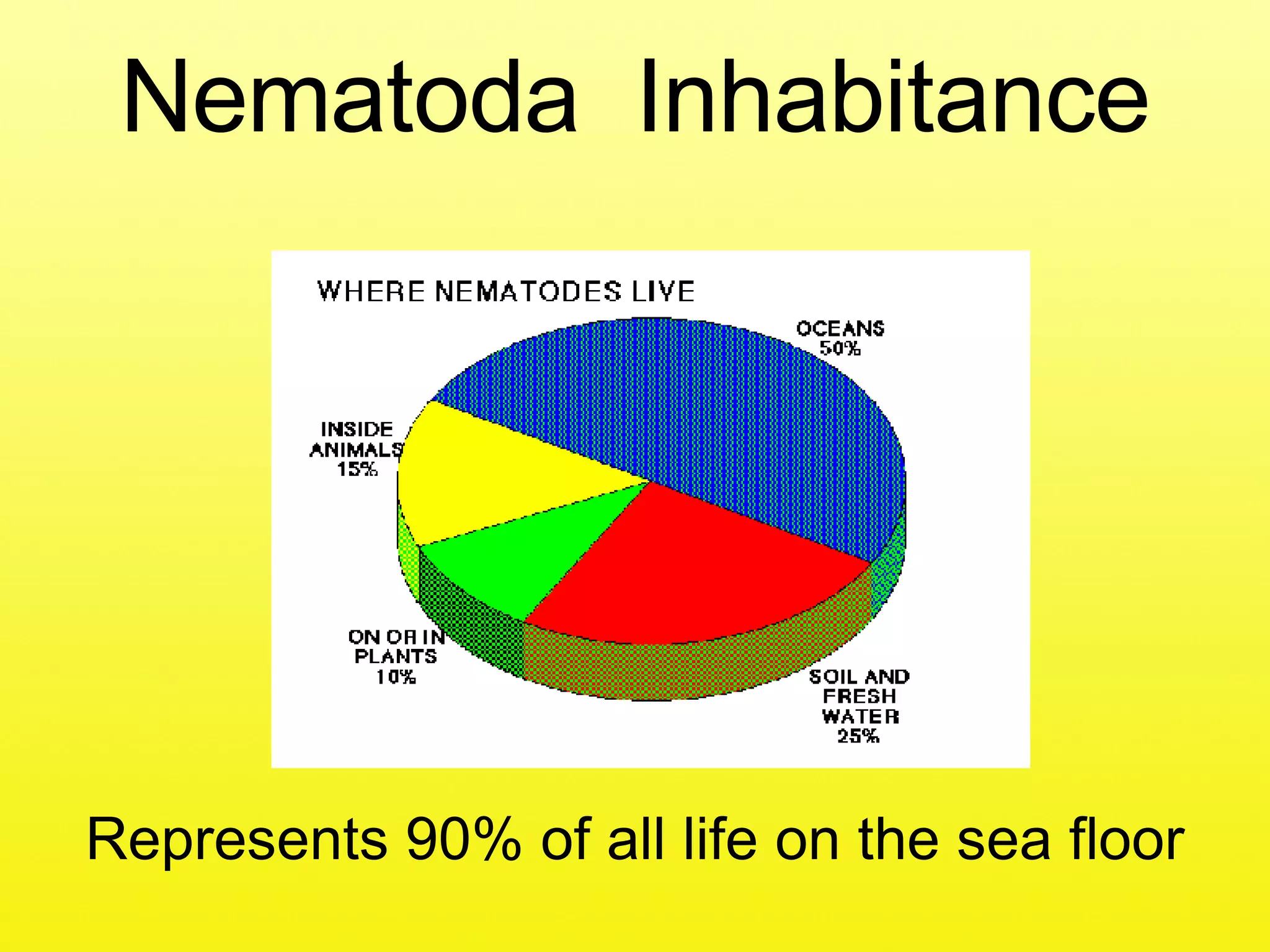 Nematodes | PPT