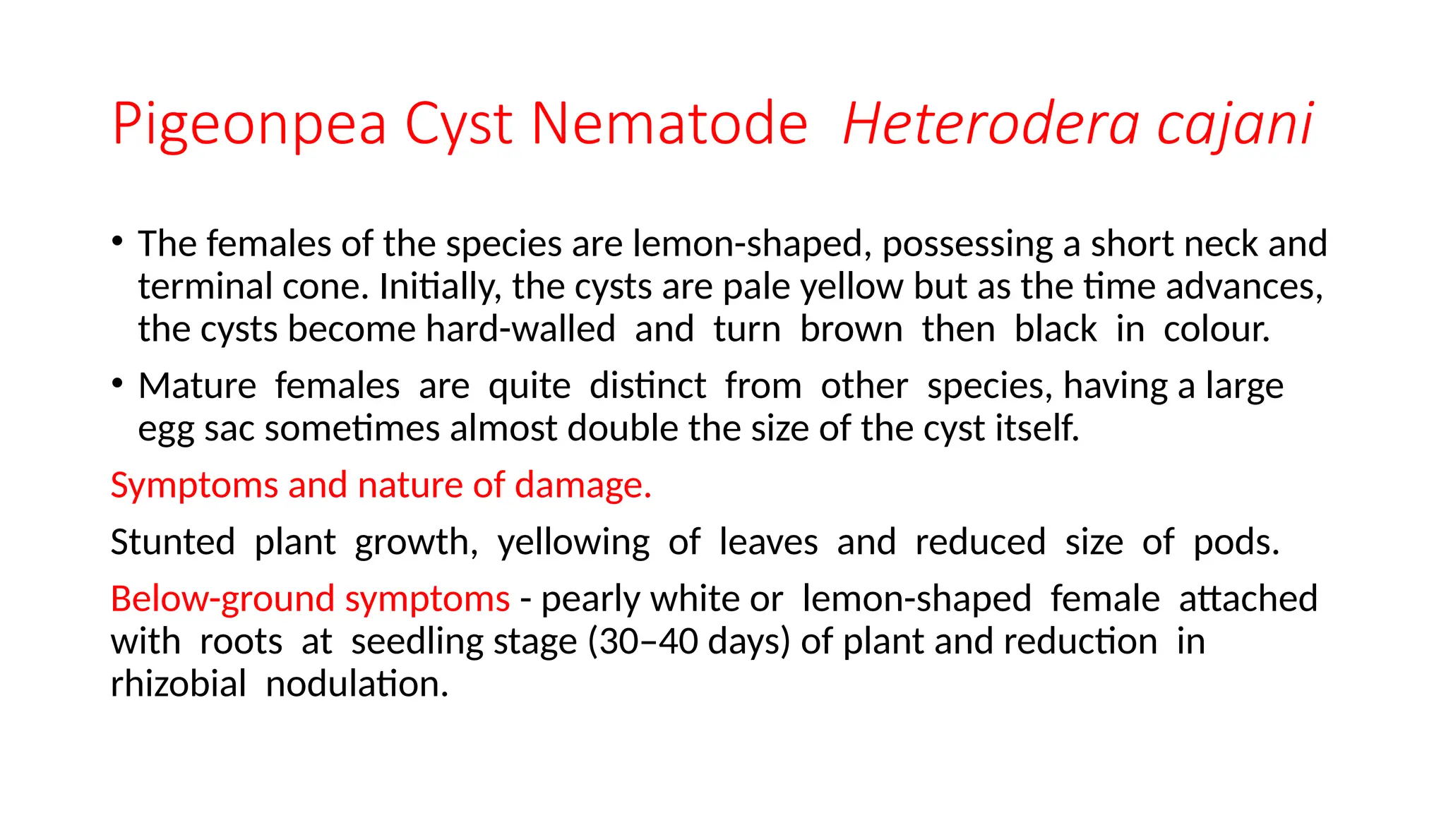 nematodes of pulses greengram, black gram etc | PPTX