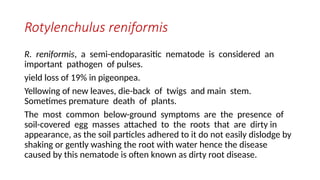 nematodes of pulses greengram, black gram etc | PPTX