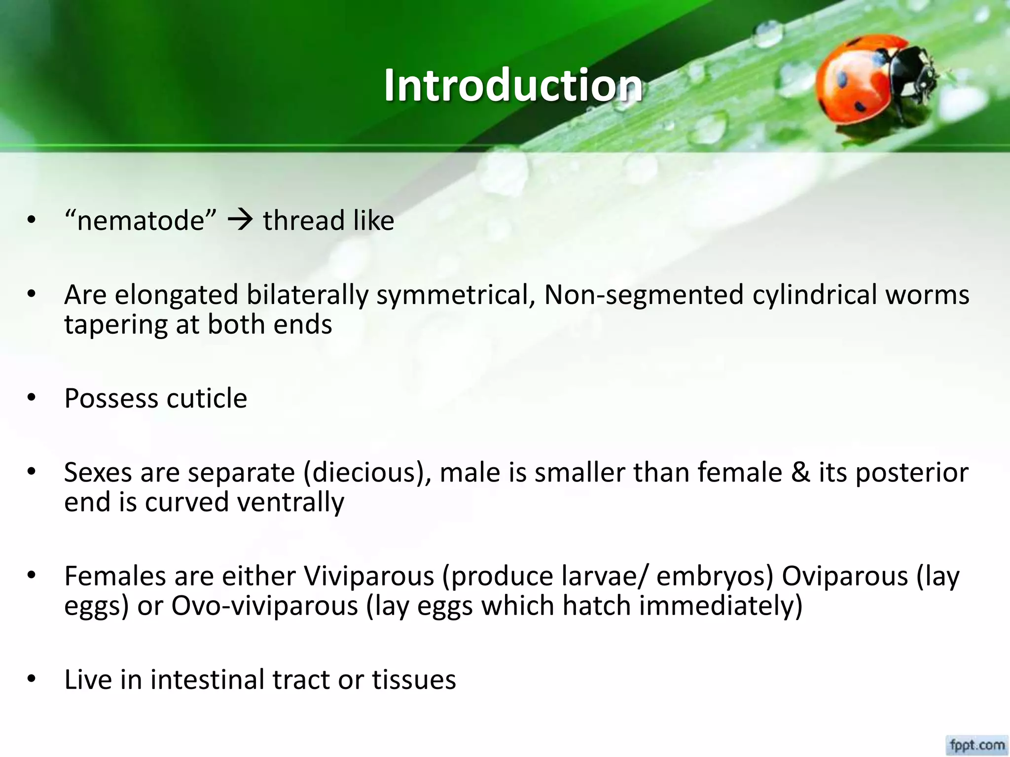 Nematodes by Dr. Rakesh Prasad Sah | PPTX