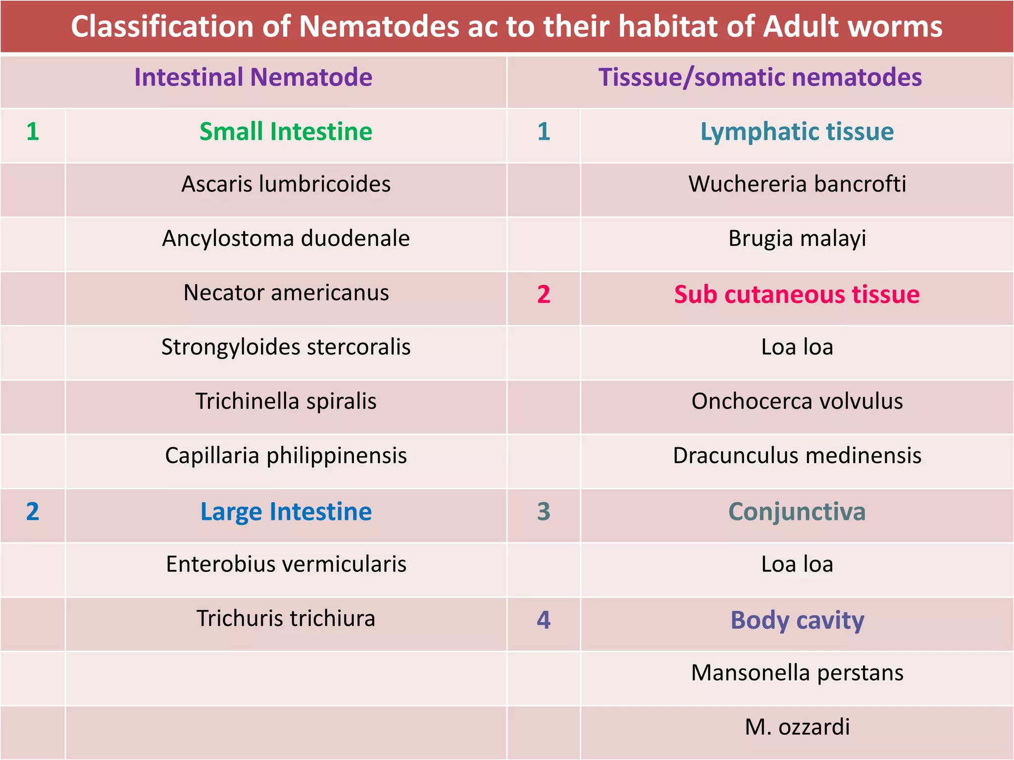 Nematodes by Dr. Rakesh Prasad Sah | PPTX