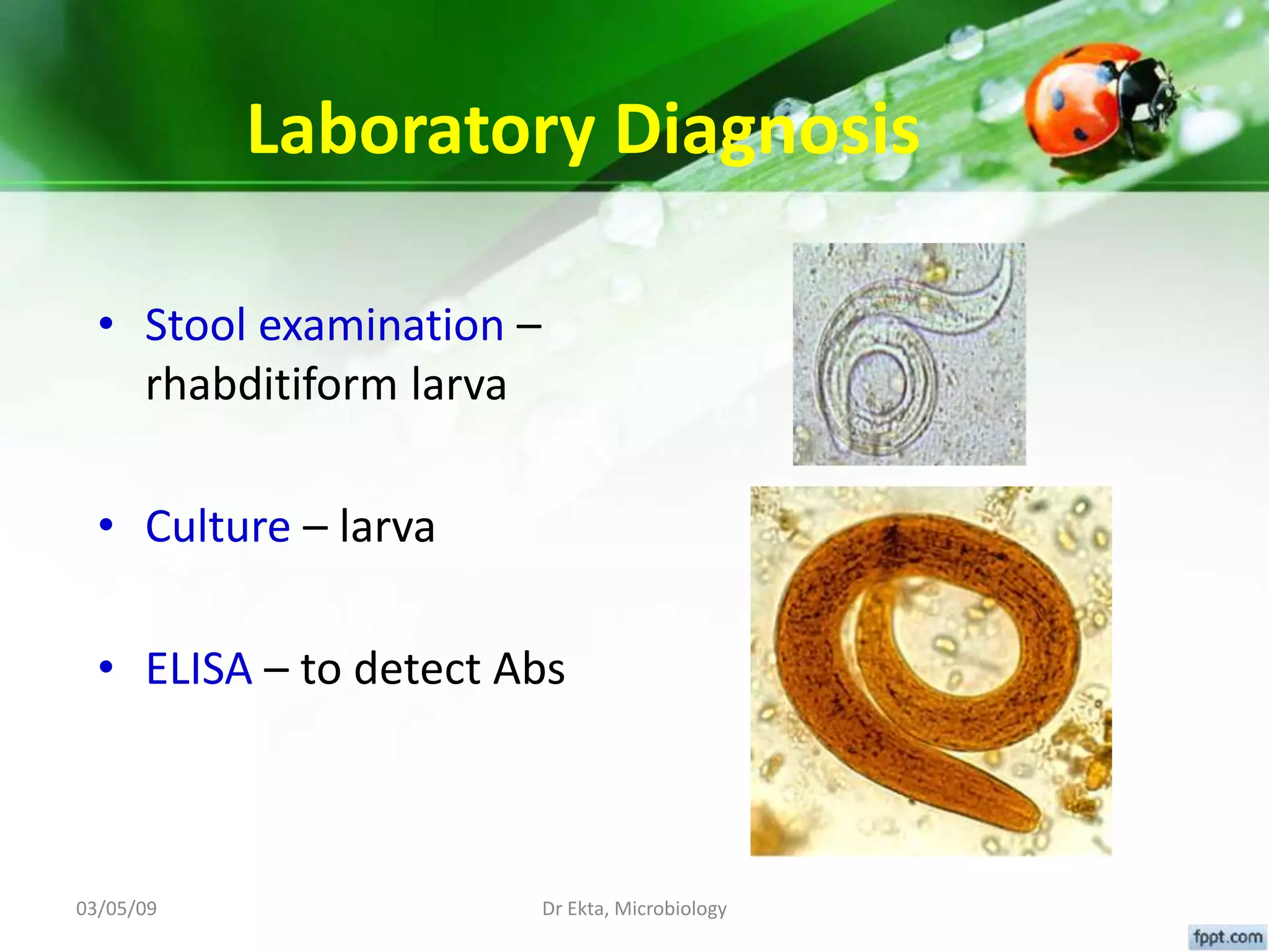 Nematodes by Dr. Rakesh Prasad Sah | PPTX